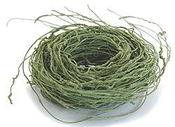 DODA VINE – Outside Wholesale Flowers